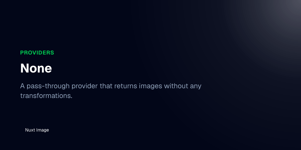 None - Nuxt Image